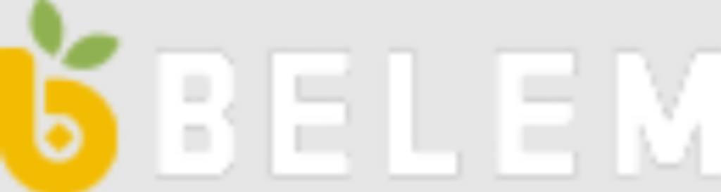 Belem.cc Review: Scam Or Legit? | Recover Lost Funds - Intelligence ...