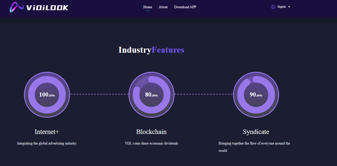 Vidilook Review: Scam Or Legit? | Recover Lost Funds - Intelligence ...