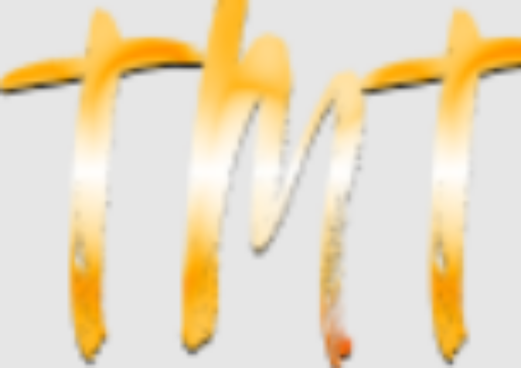 TMT Network Review: Scam Or Legit? | Recover Lost Funds - Intelligence ...