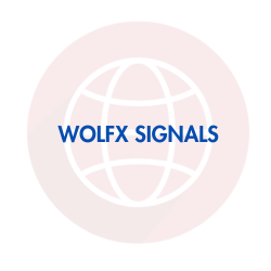 Wolfx Signals Review: Scam Or Legit? | Recover Lost Funds - Intelligence Commissioner
